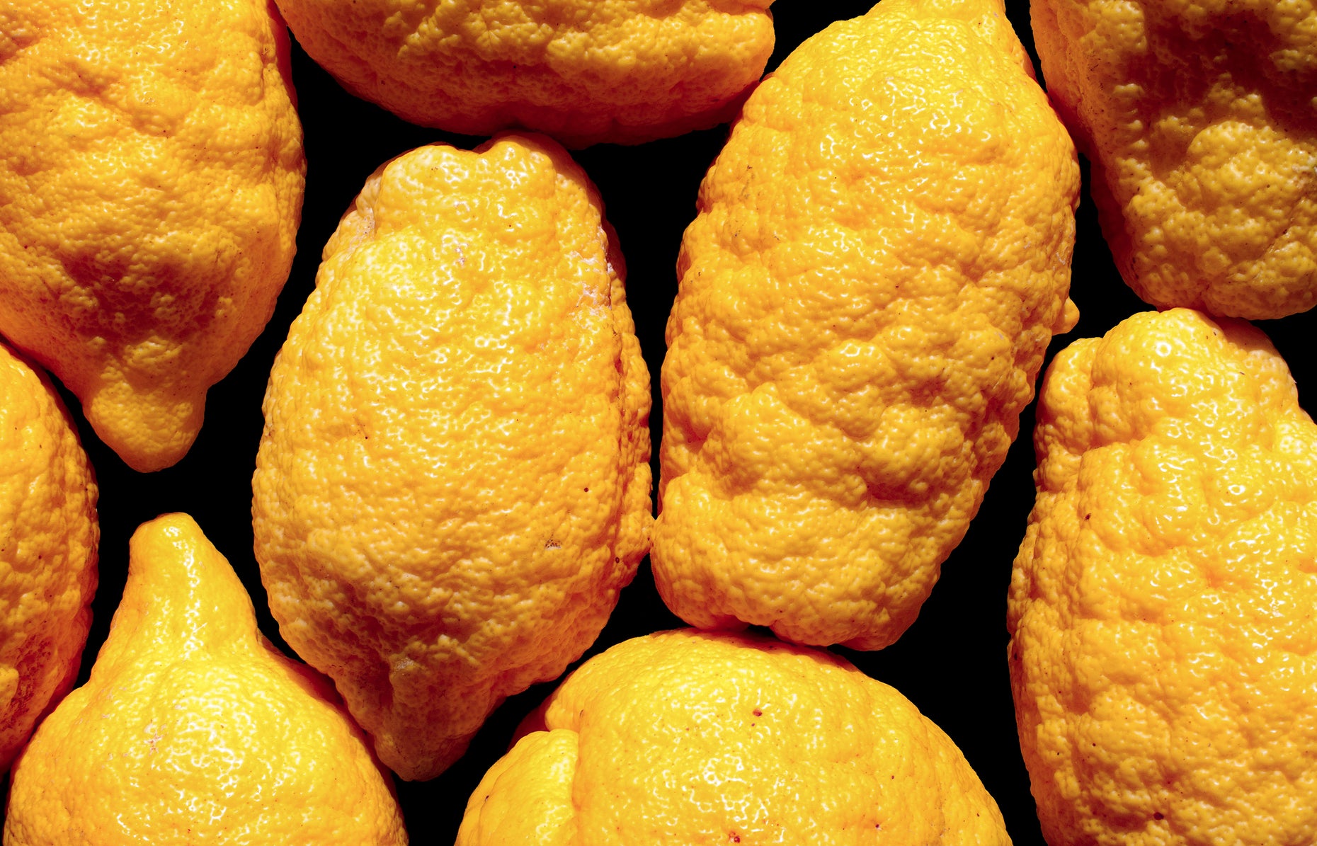 Produkte – Ewigleben Orangen